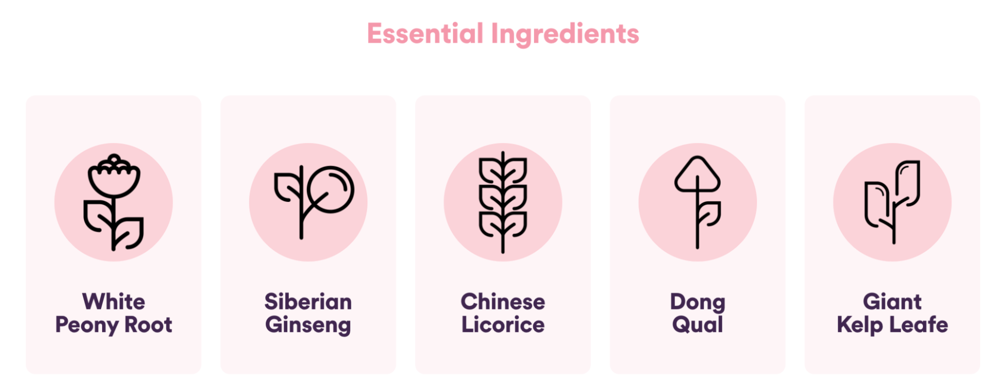 A Brand Awareness Story With Mixhers - Recharge